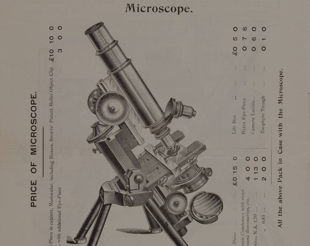 What are Microsites? Great Examples and Best Practices | DBS Interactive