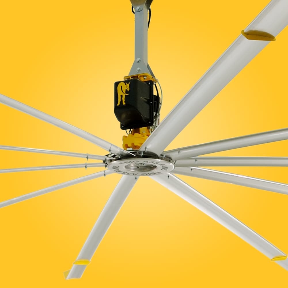 Portfolio | DBS Interactive