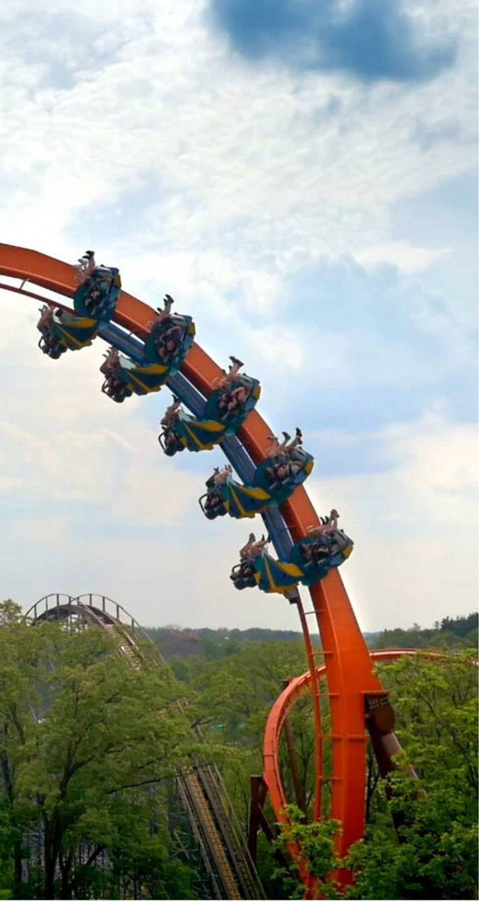 Portfolio | DBS Interactive