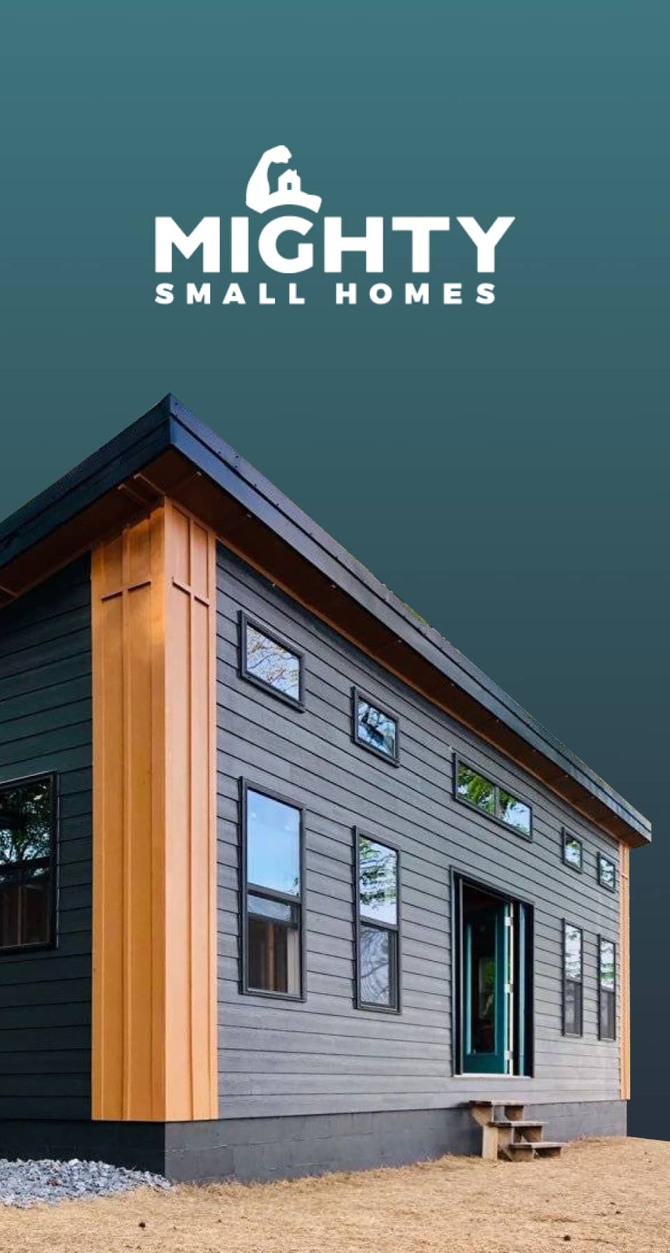 Portfolio | DBS Interactive